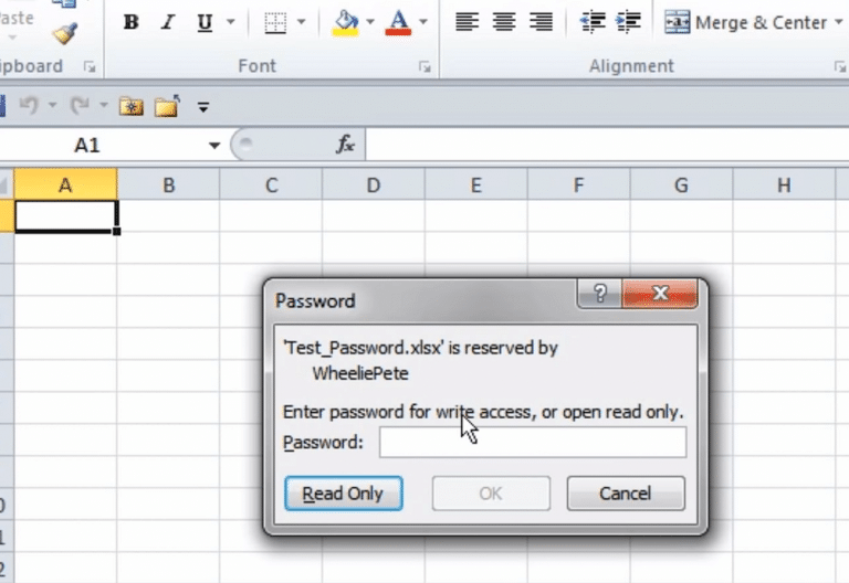How to Remove Read-Only from Excel | Windows Password Reset